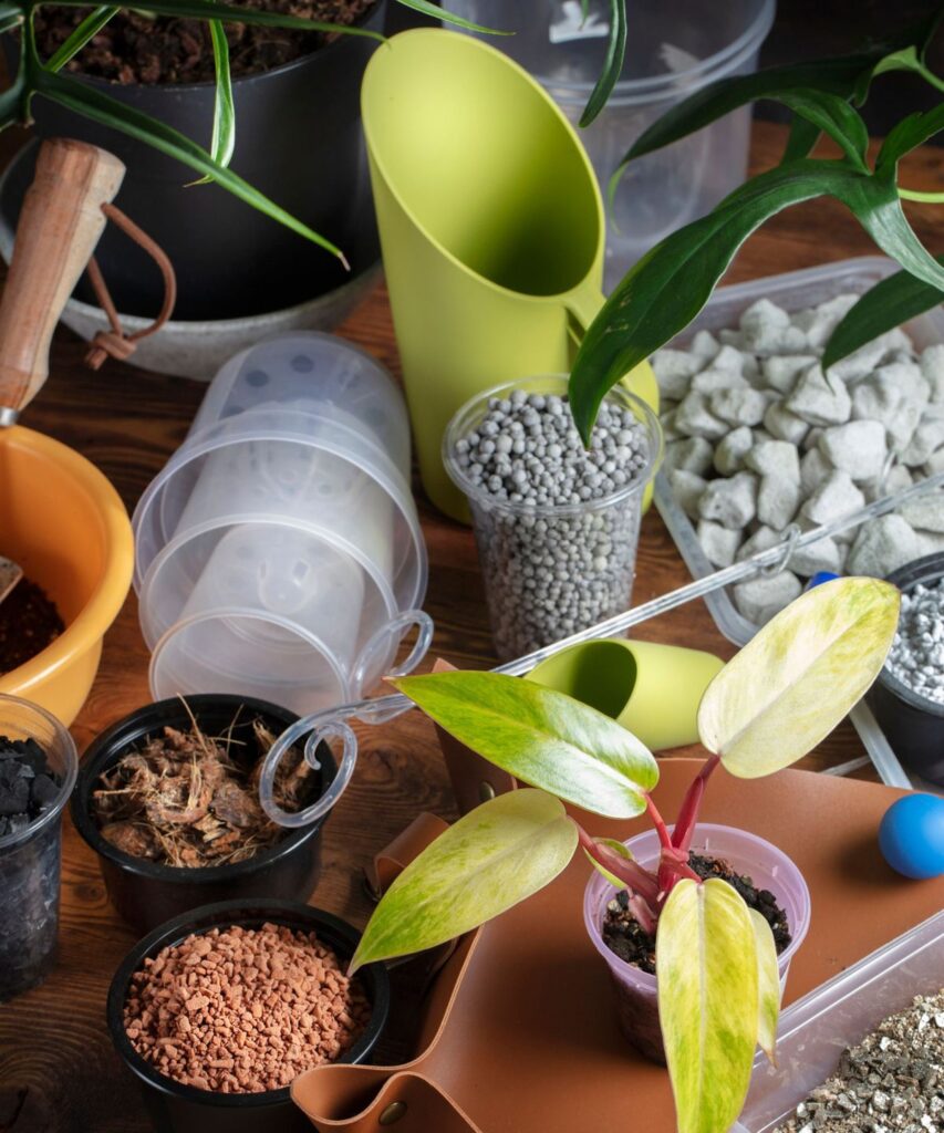 Perlite gegen Vermiculite - Was ist der Unterschied und welches ist am ...